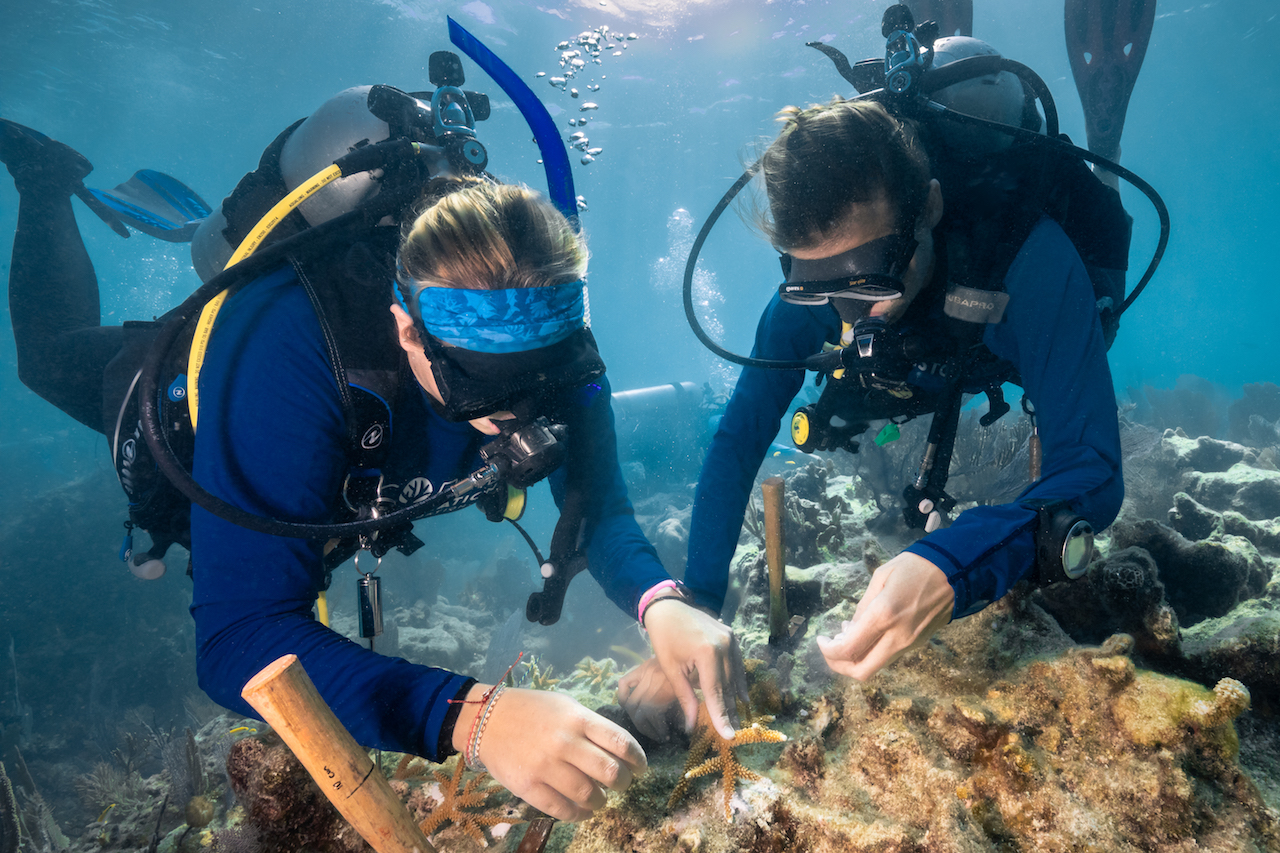 Exclusive Ocean Reef Club Partners With Environmental Groups To Restore ...