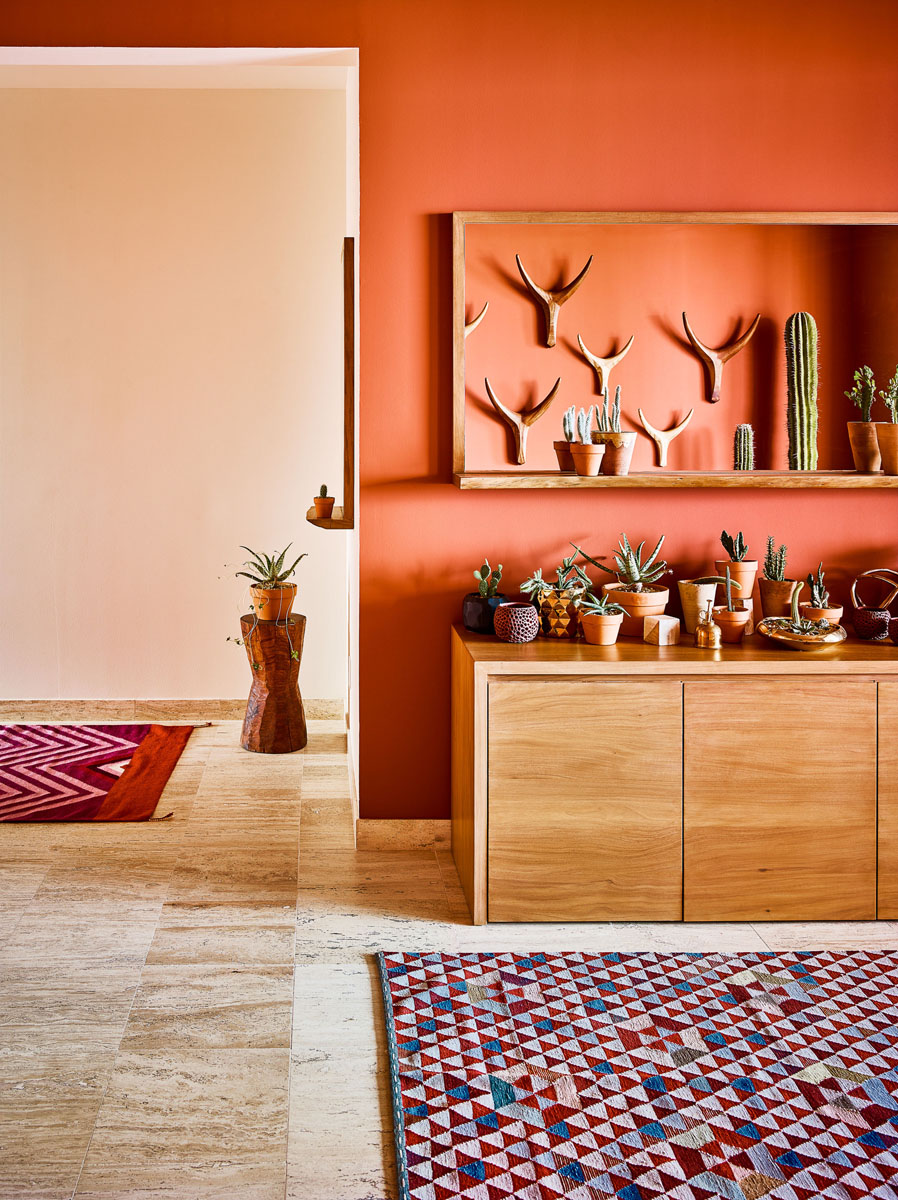 Flexibility, Color, and Local Influence Lift Up a Cabo San Lucas ...
